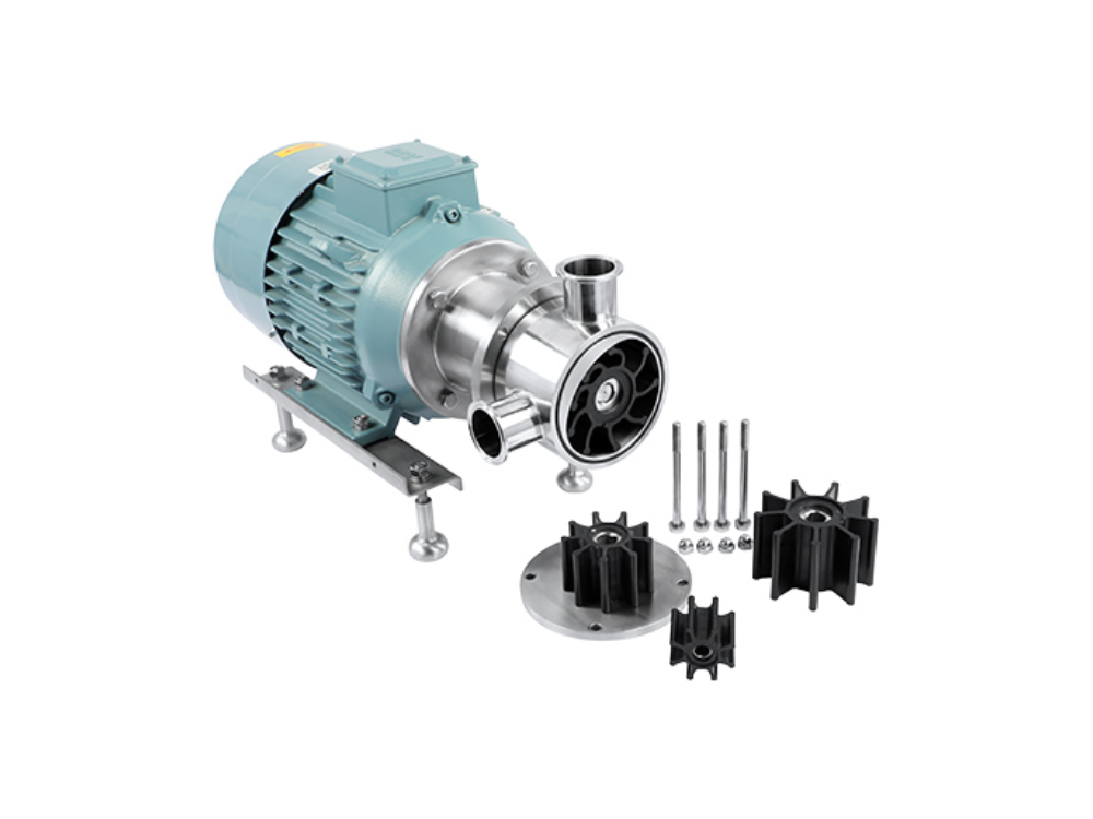 Pompă cu rotor flexibil - Configurație: Cu motor, Cu motor și carcasă ...